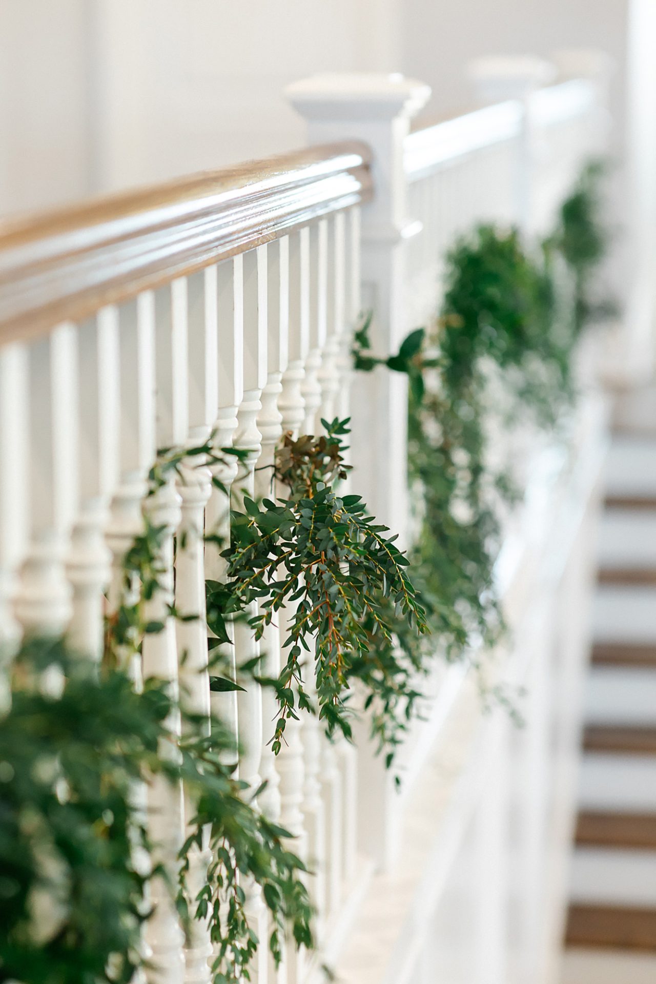 San Antonio's Premier Florist | Alamo Plants & Petals